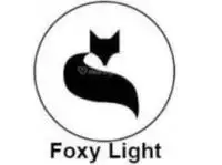 FOXYLIGHT - Fédération des Entrepreneurs du Pays Salonais